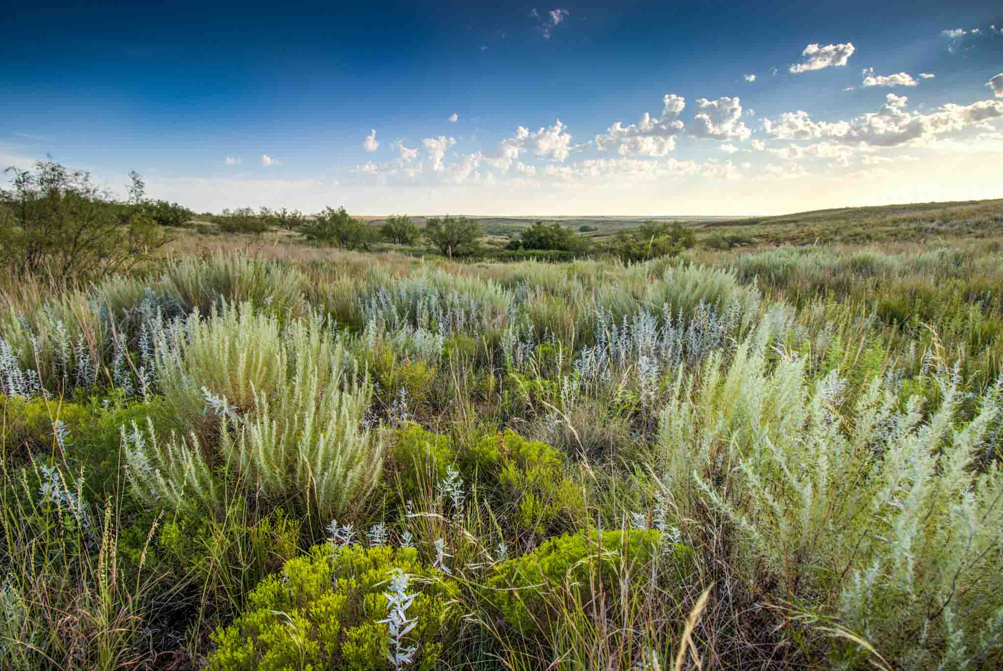 Spring 2026 Texas Rural Land Market Update - Triangle Realty