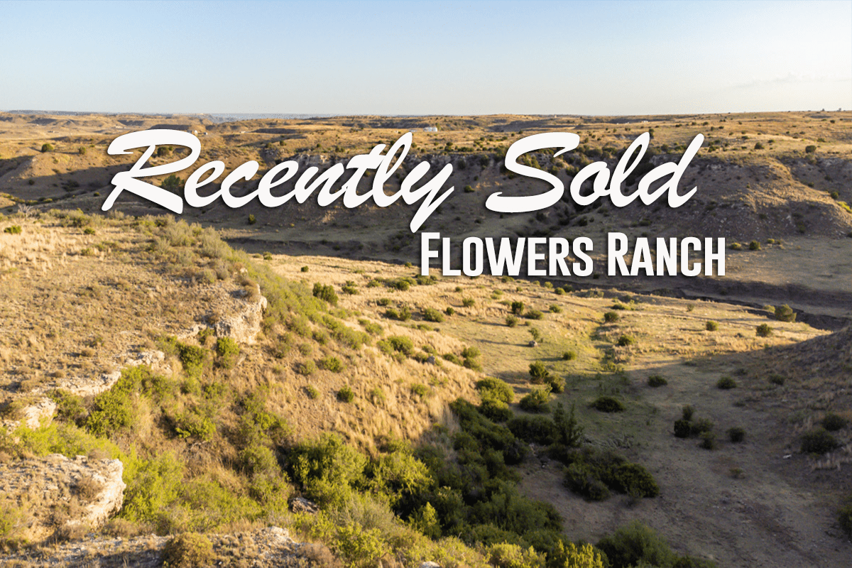 Recently sold: Exploring the Majesty of Flowers Ranch - Triangle Realty