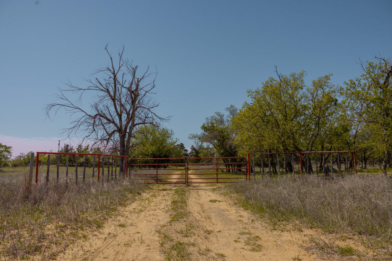 Triangle Realty New Listings - Triangle Realty